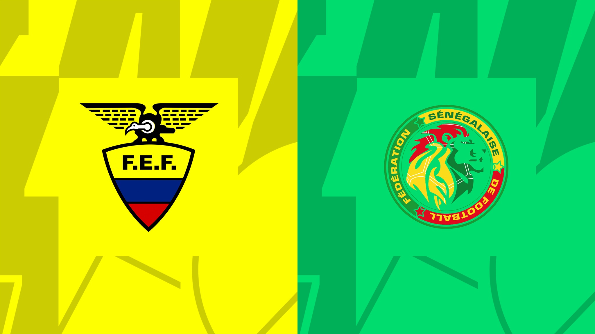 厄瓜多尔和塞内加尔足球哪个厉害 塞内加尔整体实力更胜一筹-24VS直播