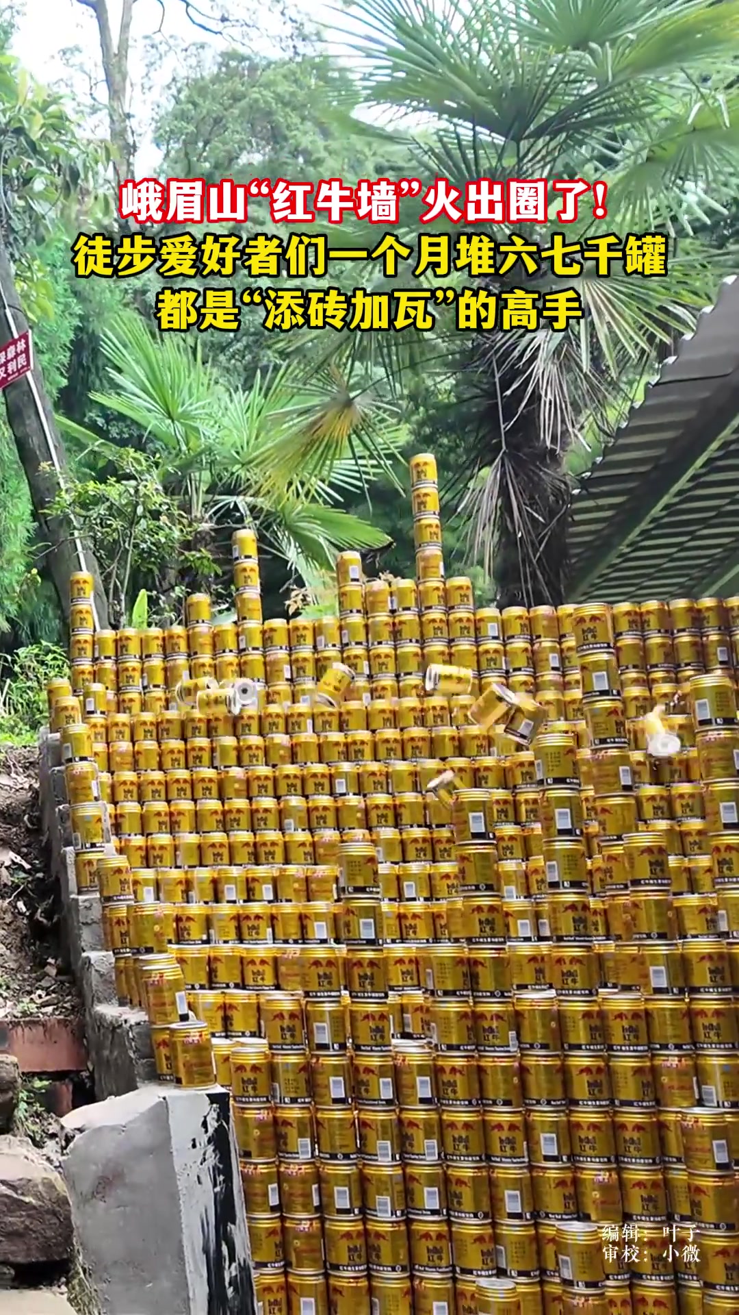 峨眉山红牛墙火出圈了！徒步爱好者们一个月堆六七千罐-24VS直播