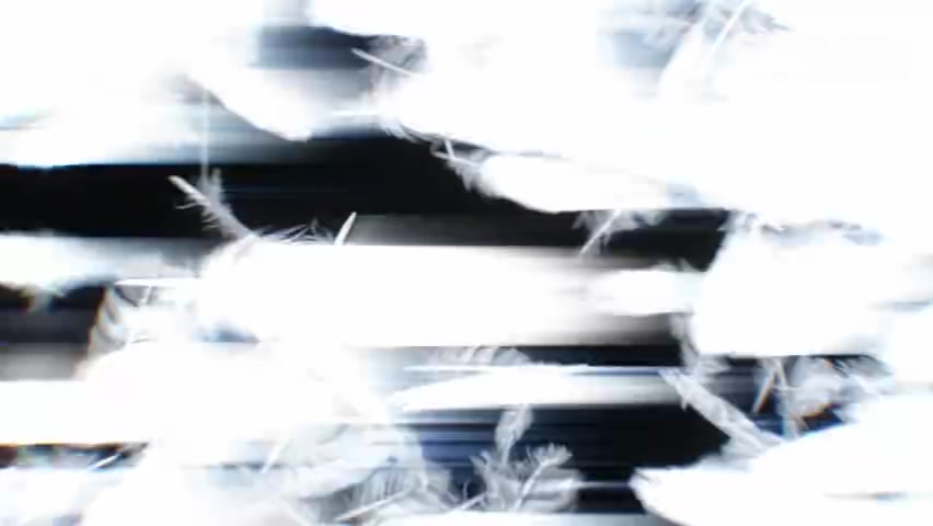 WBG世界赛宣传片：目及世界 仗梦出征 齐心并行 生而为赢-24VS直播