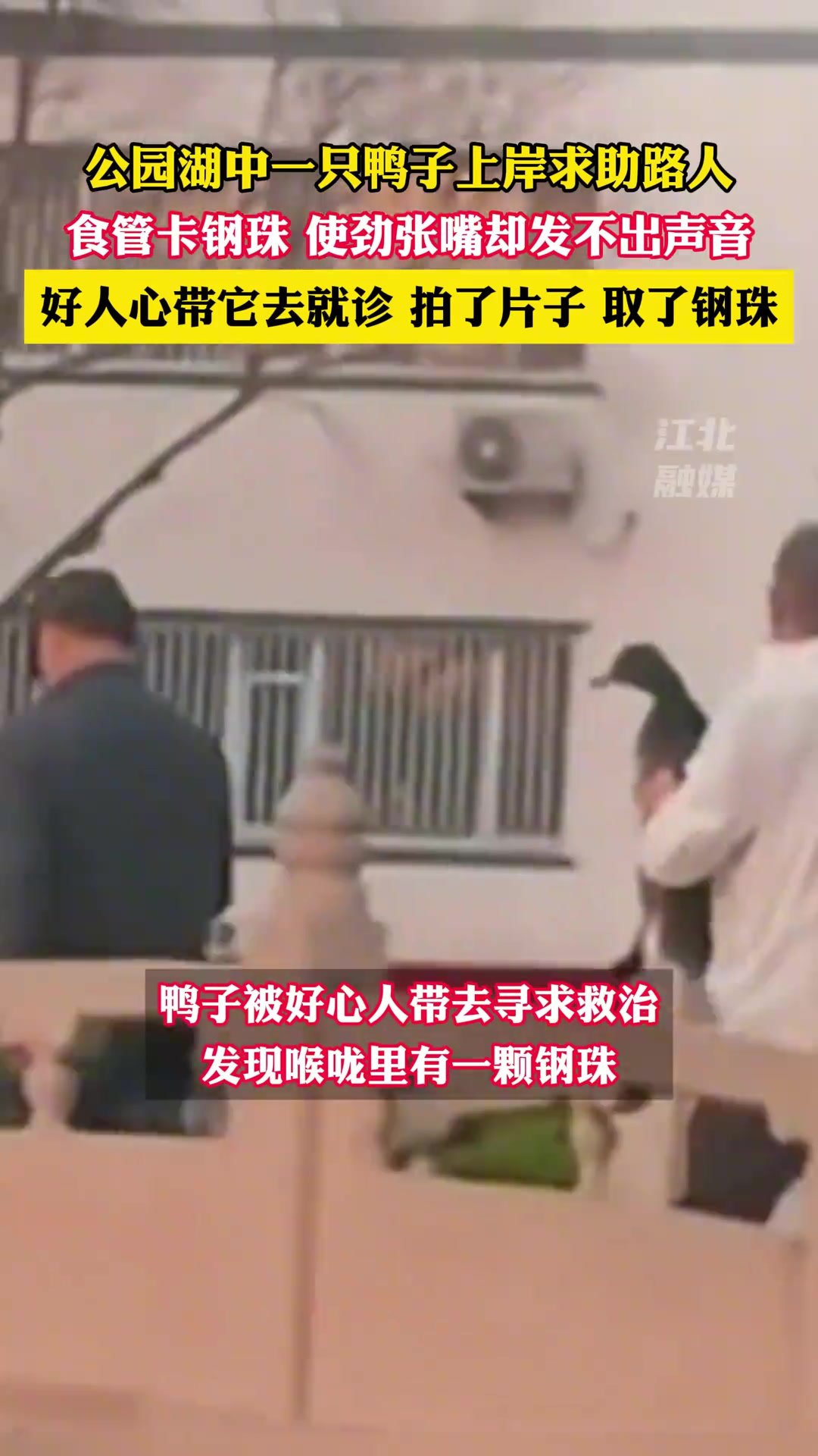 24VS体育_ 低调看直播|jrs直播|NBA直播|足球直播|360直播