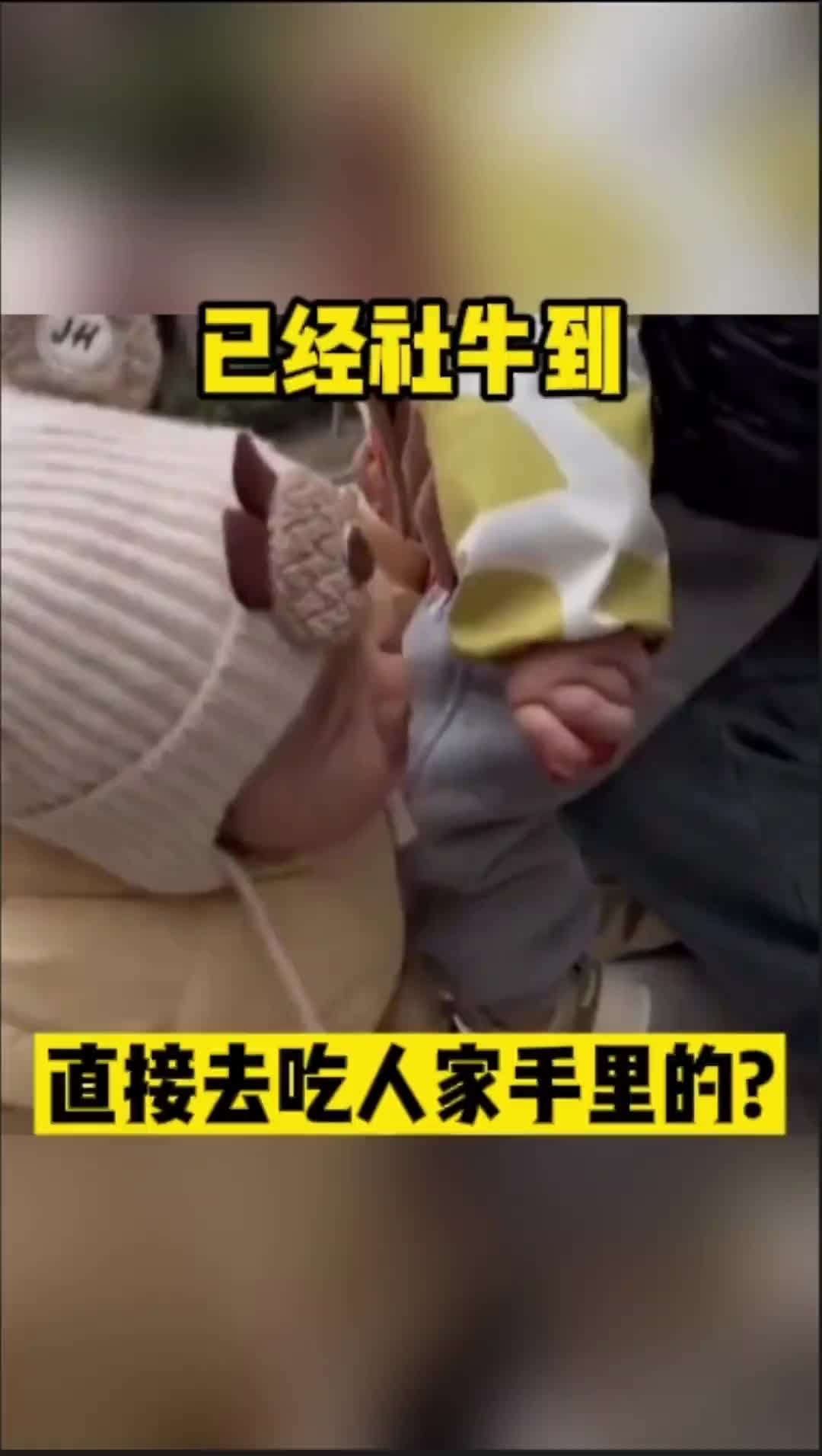 24VS体育_ 低调看直播|jrs直播|NBA直播|足球直播|360直播