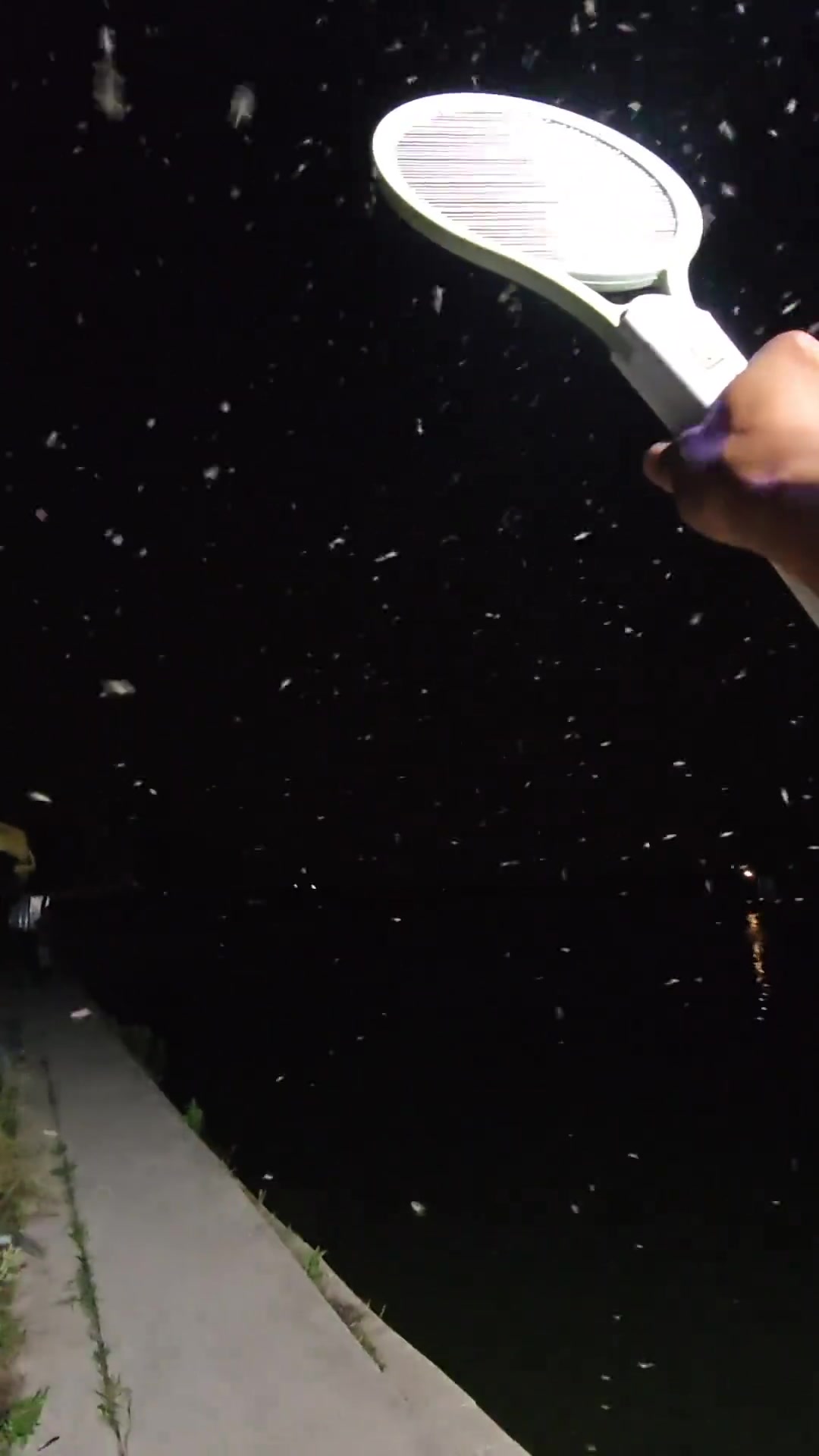 蚊子:什么叫天花板，我比烟花闪！-24VS直播