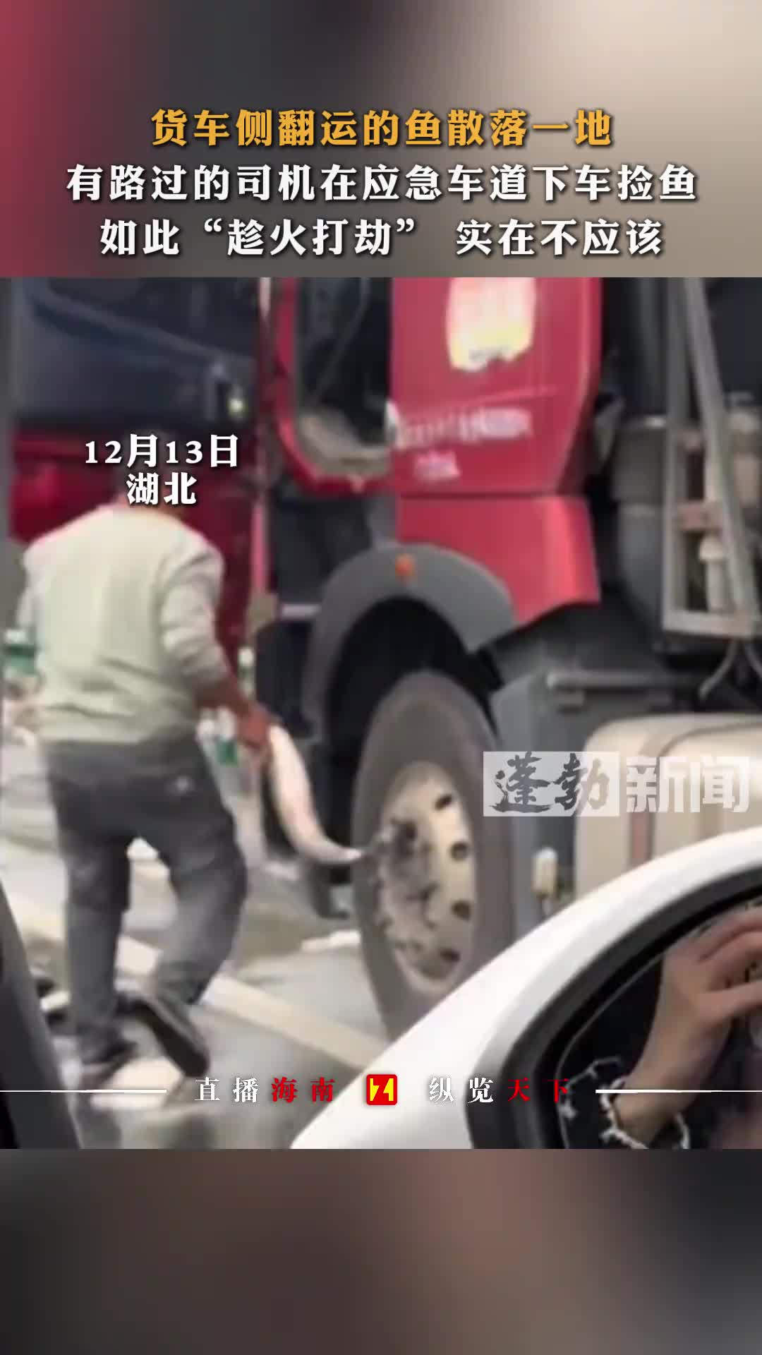 货车侧翻运的鱼散落一地，有路过的司机在应急车道下车捡鱼-24VS直播