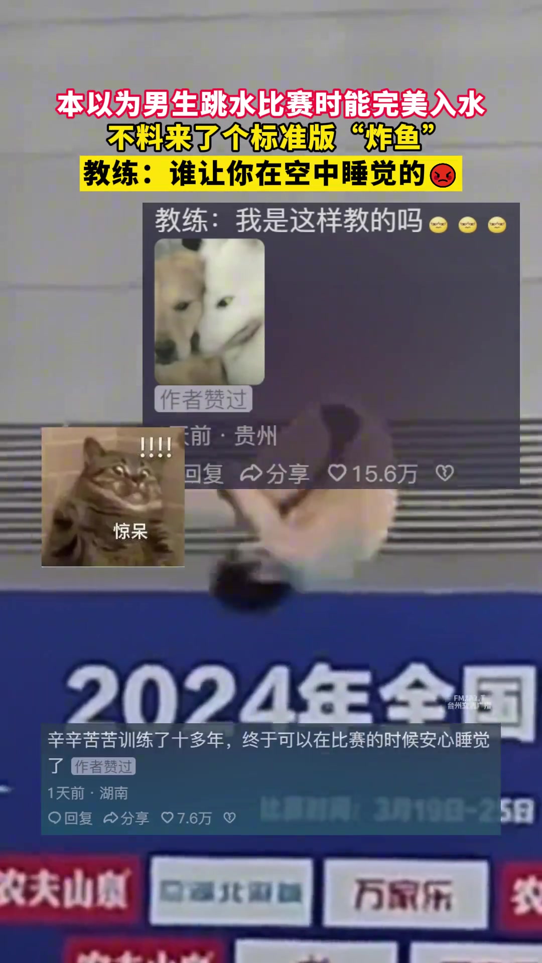 本以为男生跳水能完美入水 不料来了个标准版“炸鱼”-24VS直播