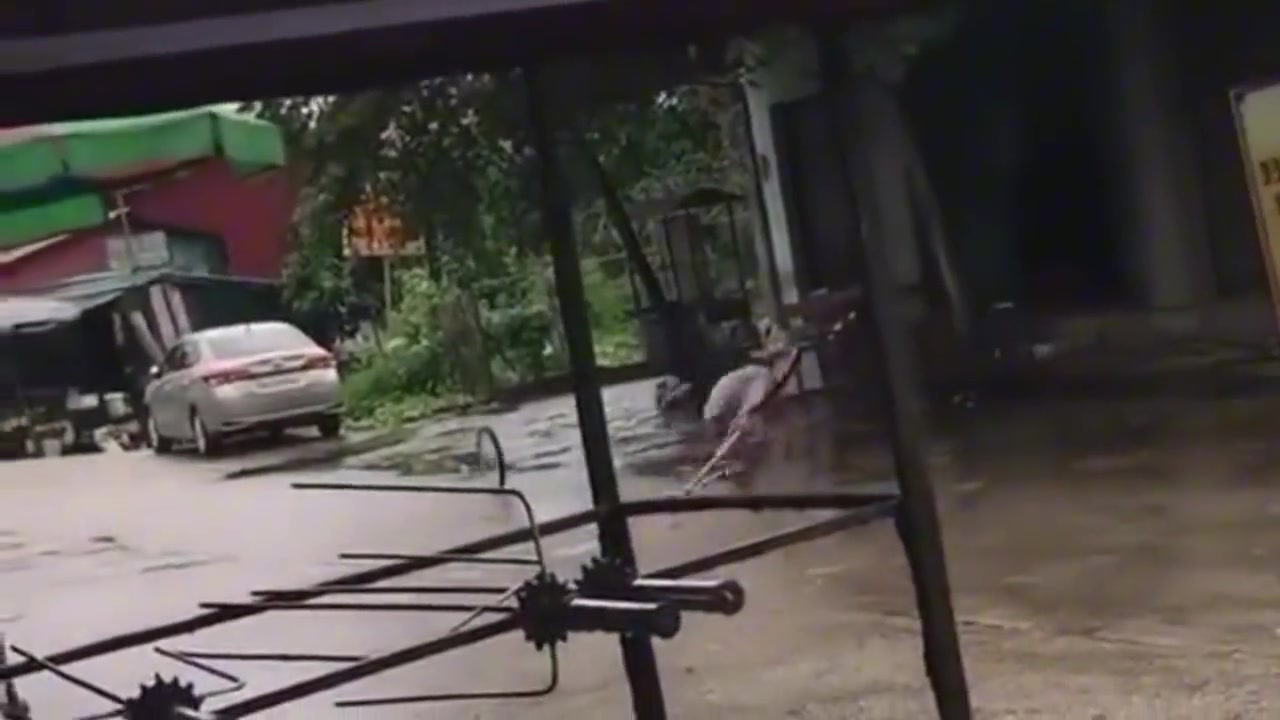 自行车：咱们分头行动-24VS直播