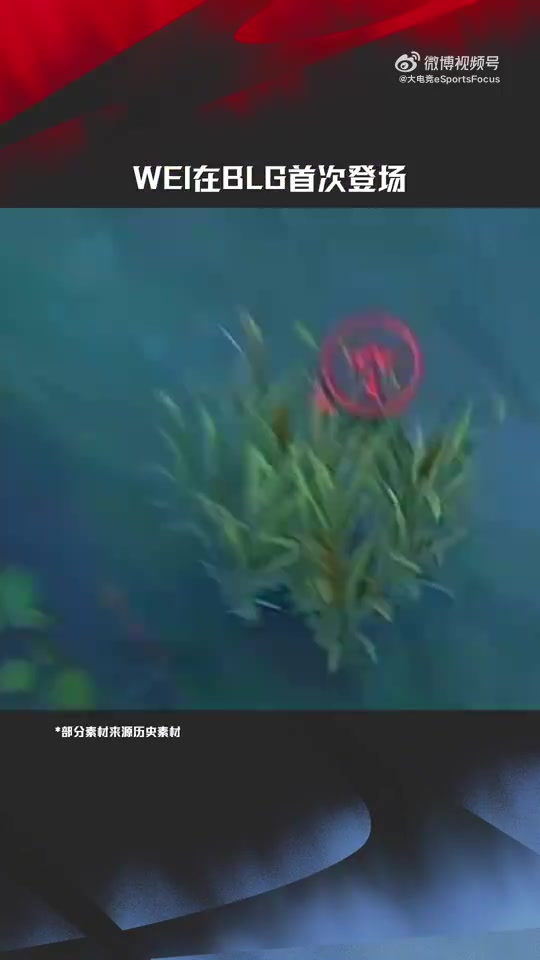 LPL高光时刻：Wei在BLG首次登场 和Bin哥的配合还可以-24VS直播