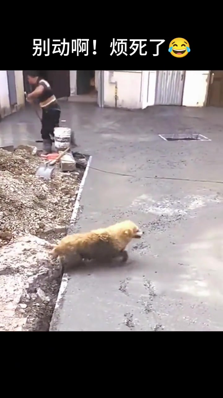 就是这么犟-24VS直播