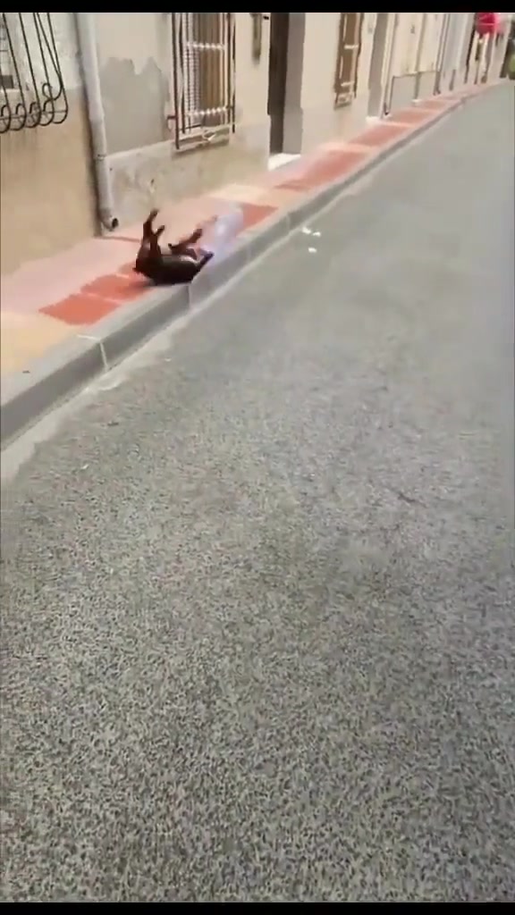 让我想起了刀哥-24VS直播