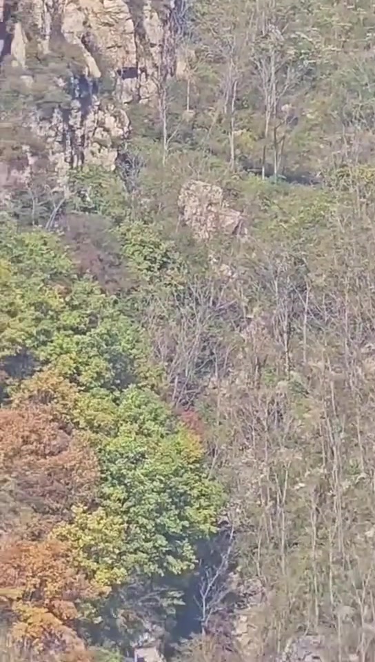 这我是真的不敢玩~-24VS直播