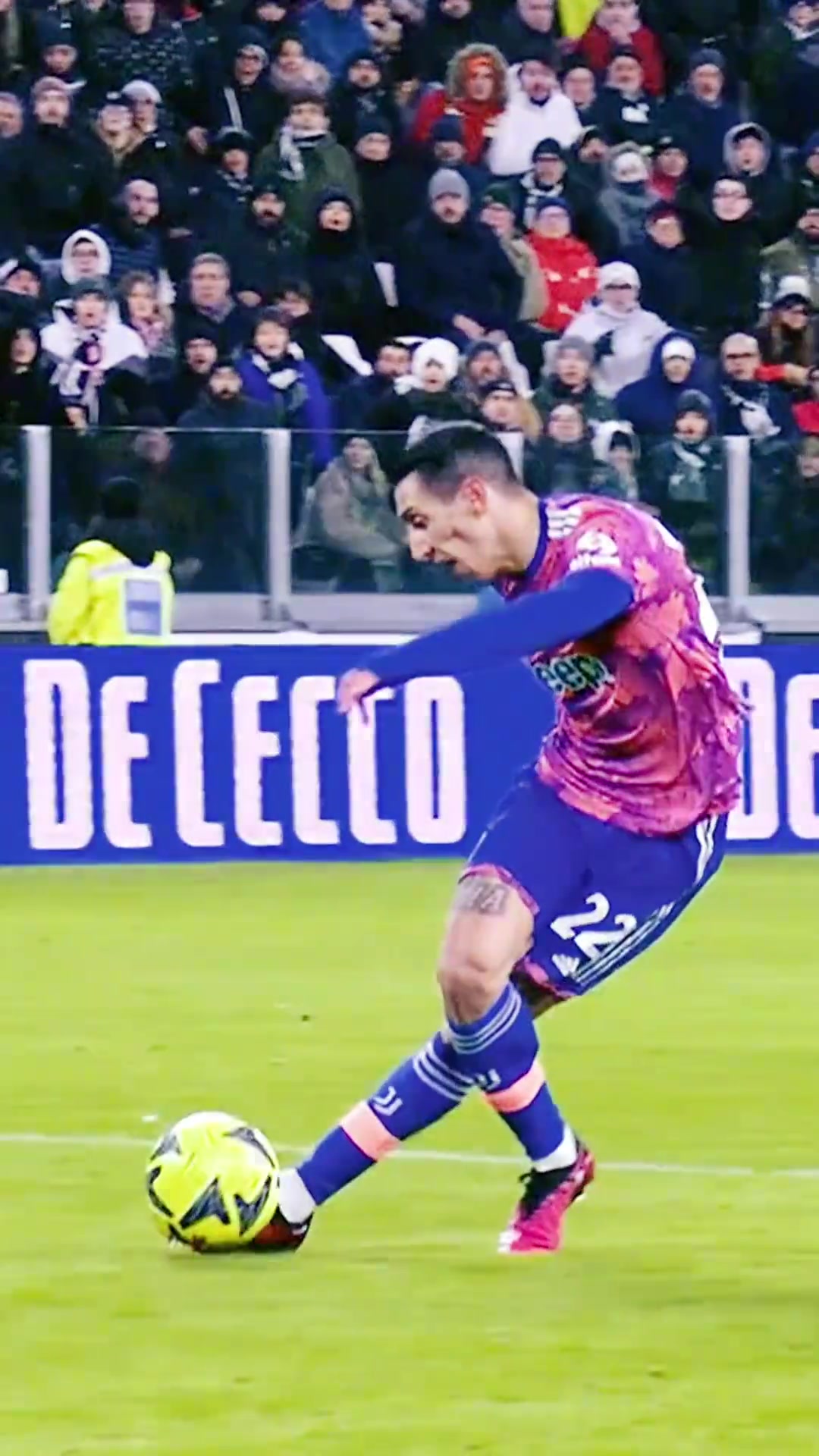 “插花脚天花板”-24VS直播