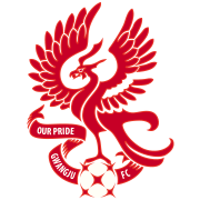 04月26日 亚冠精英联赛1/4决赛 利雅得新月vs光州FC直播-24VS直播