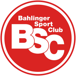 08月16日 德国杯 巴林格SCvs海登海姆直播-24VS直播